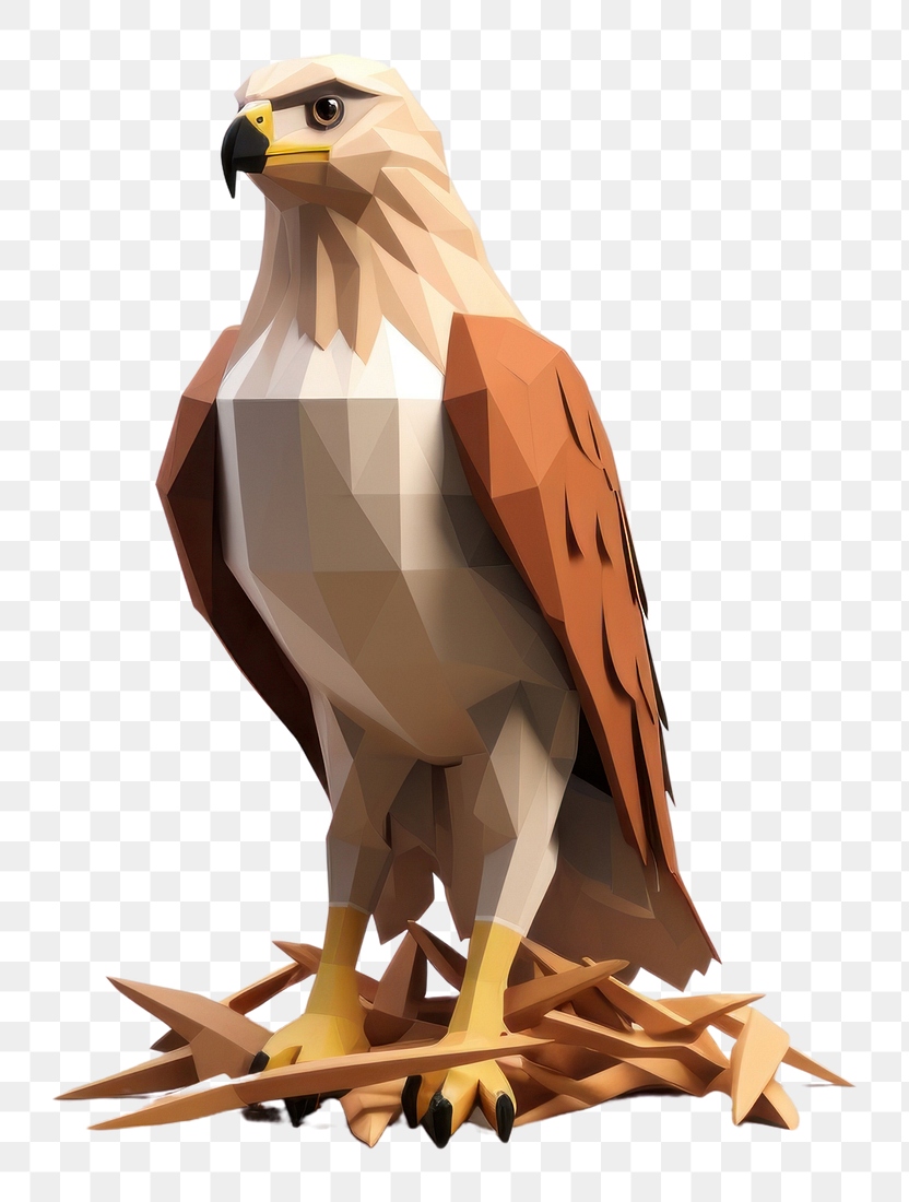 PNG hawk buzzard animal bird. | Premium PNG - rawpixel