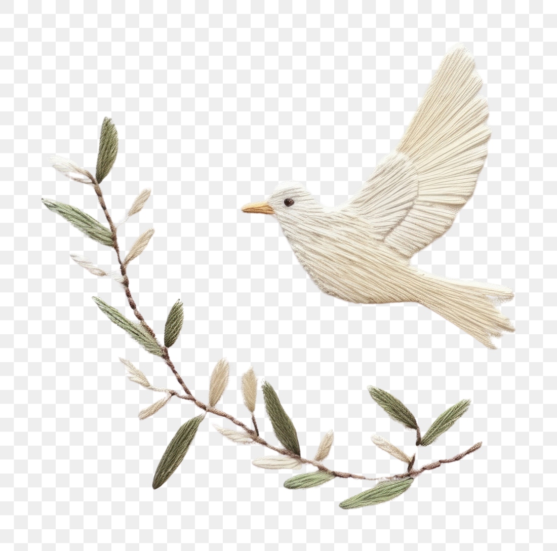 PNG Dove peace theme bird | Free PNG - rawpixel