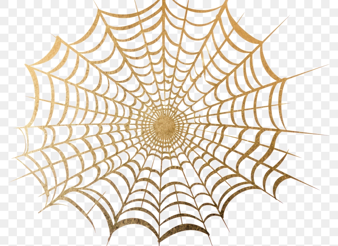 PNG Spider web backgrounds concentric | Free PNG - rawpixel