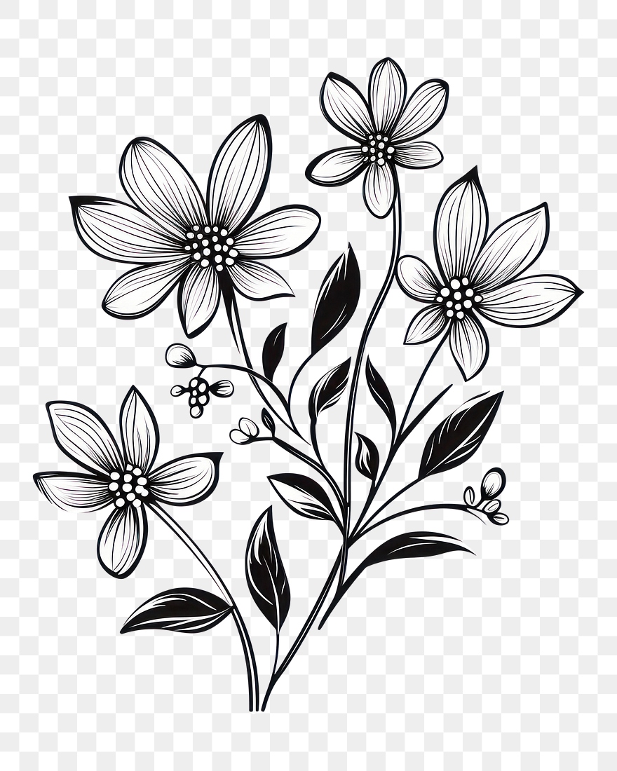 PNG Floral plant pattern drawing. | Premium PNG - rawpixel