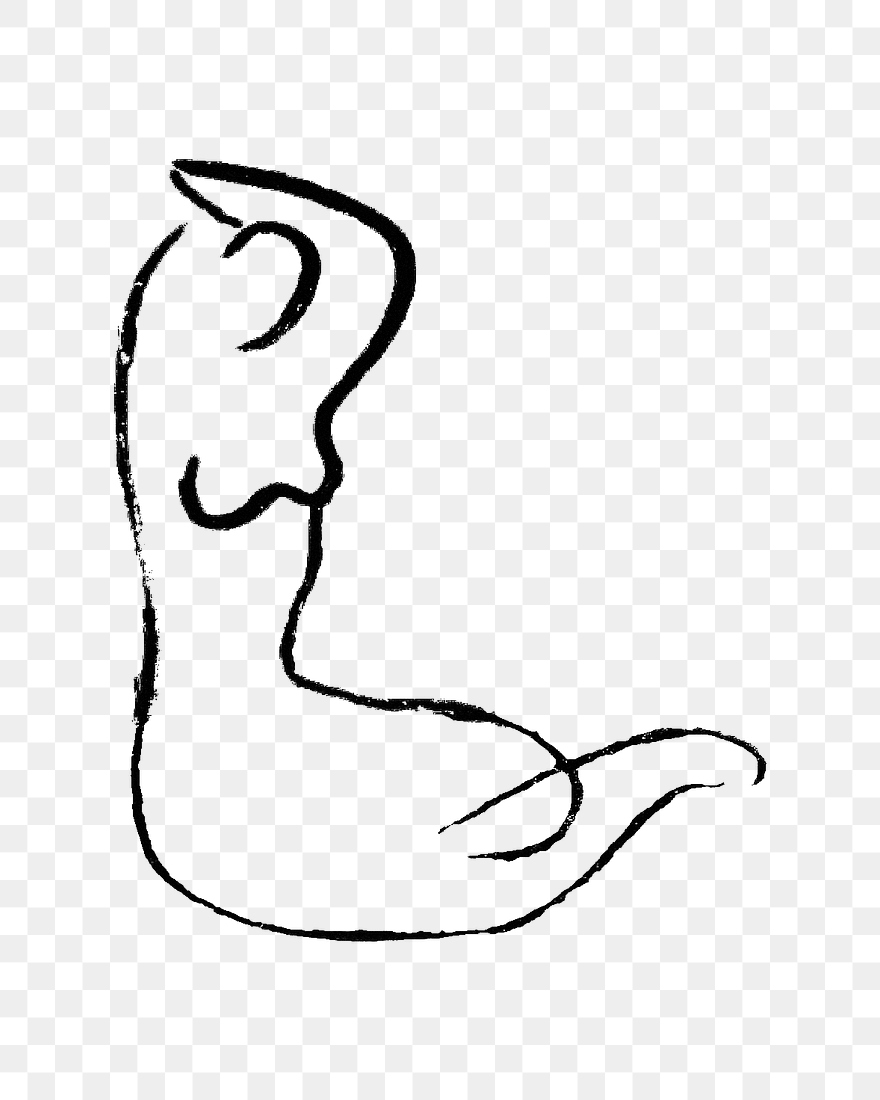 Woman line art png abstract, | Premium PNG - rawpixel