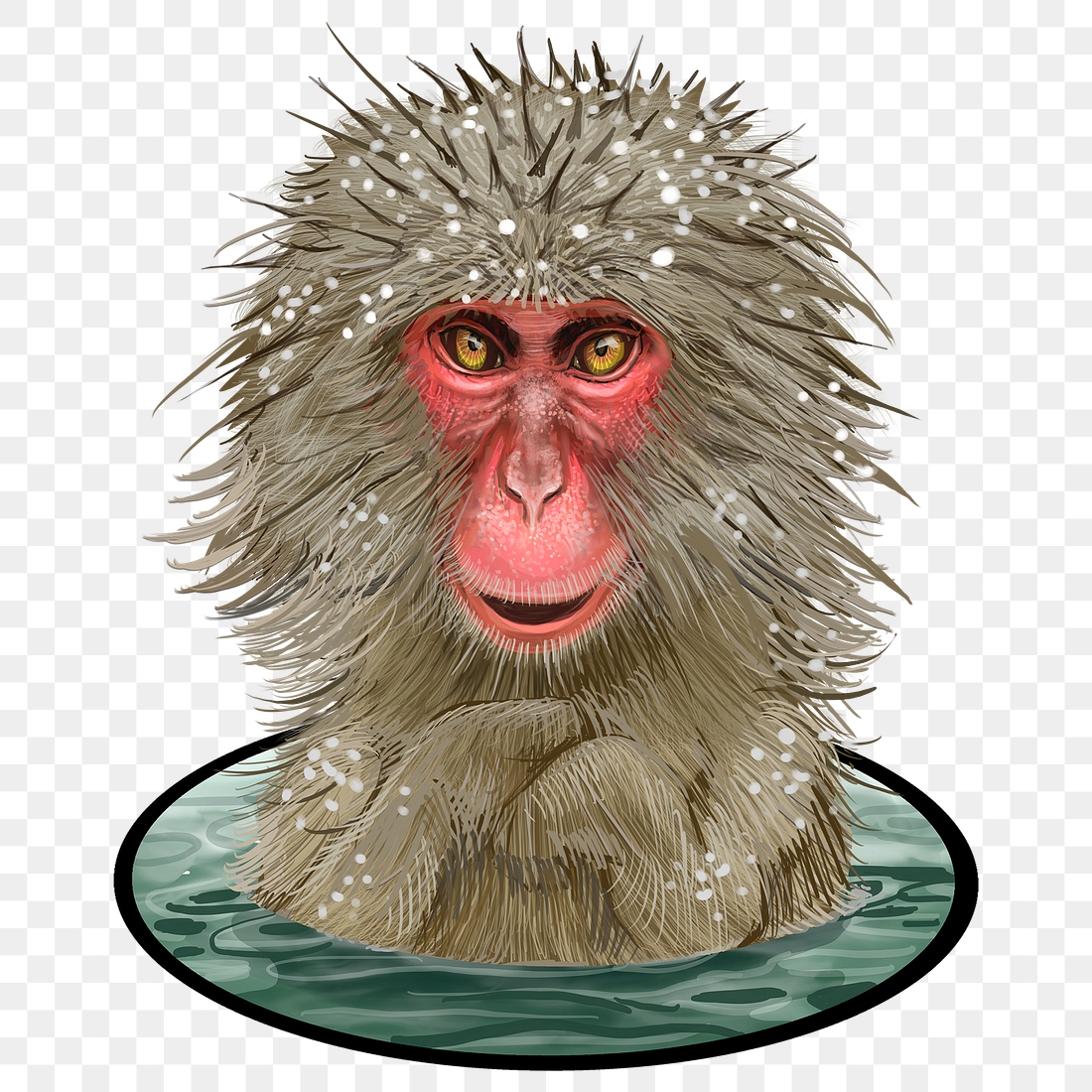 Japanese macaques png sticker, bathing | Premium PNG - rawpixel