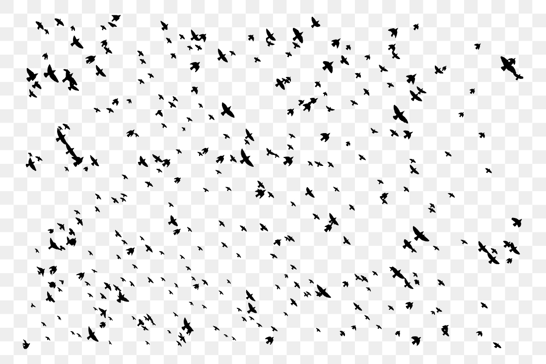 Flying birds png, abstract transparent | Free PNG - rawpixel