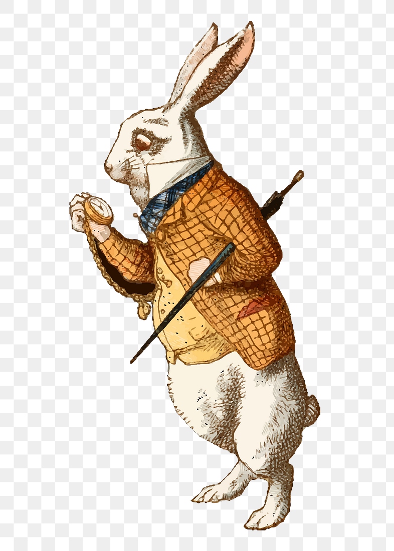 White Rabbit png sticker, Alice | Free PNG - rawpixel