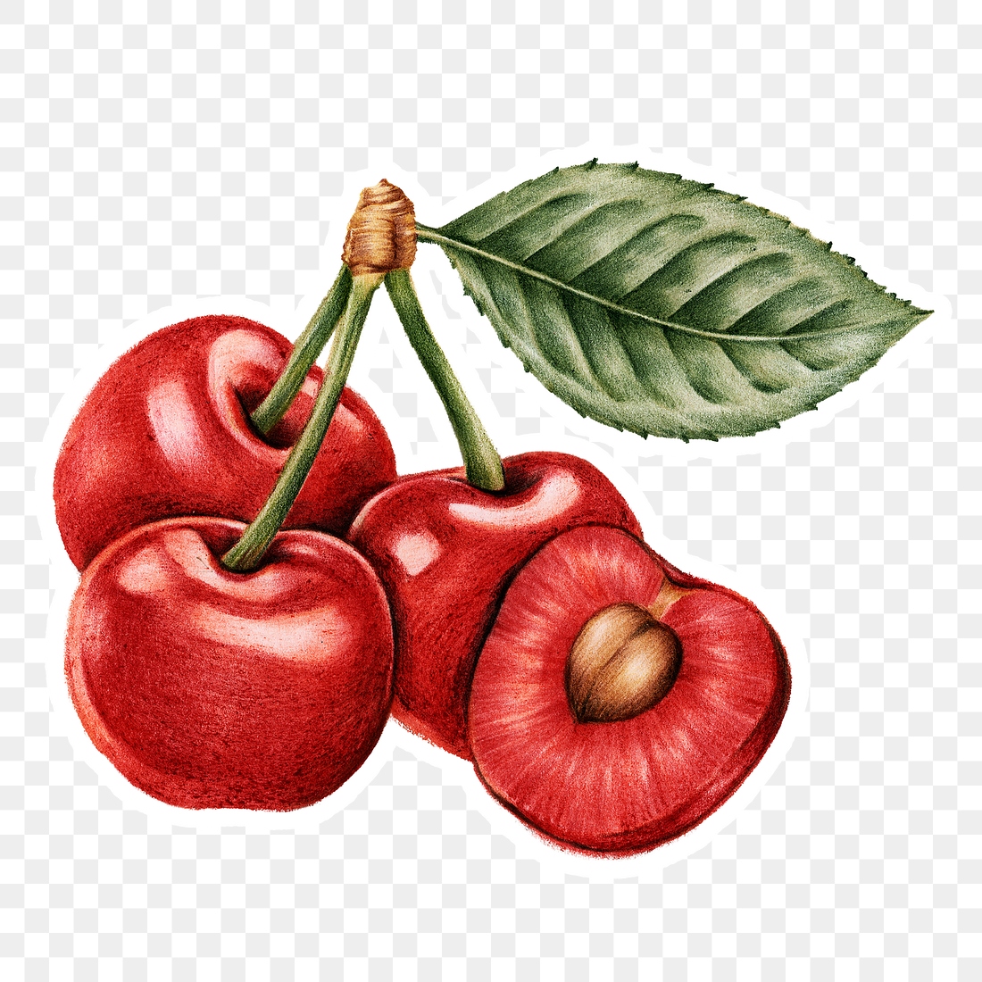 Hand drawn bunch cherries fruit | Premium PNG Sticker - rawpixel