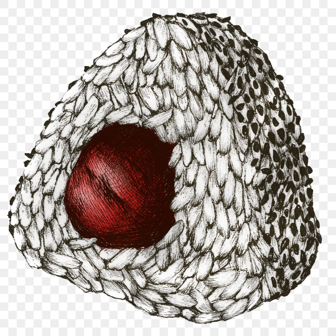 Colorful onigiri isolated transparent png | Premium PNG Sticker - rawpixel