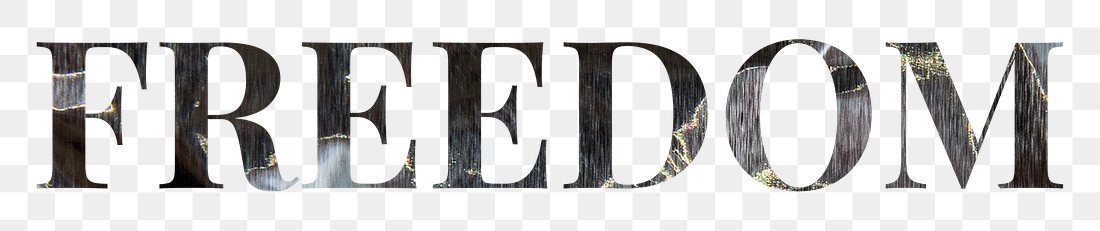 Freedom word art typography png | Free PNG Sticker - rawpixel