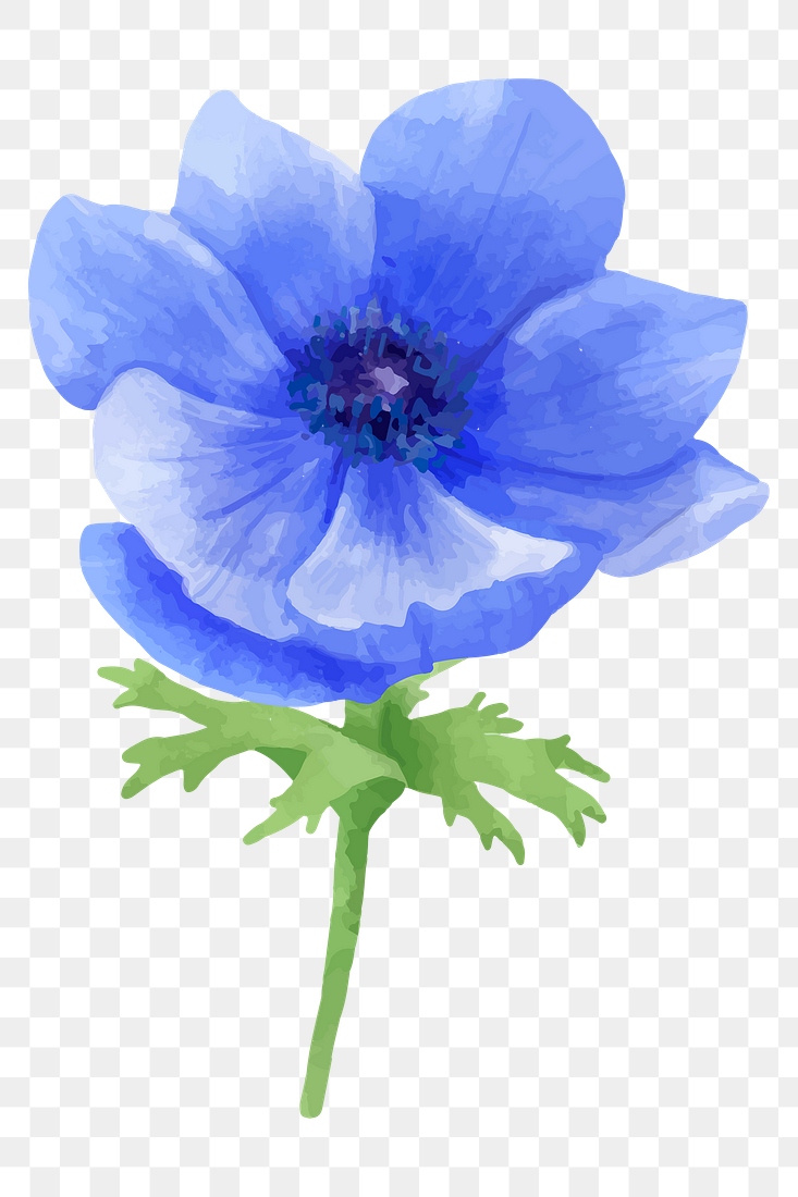 Blooming blue flower sticker png | Premium PNG Sticker - rawpixel