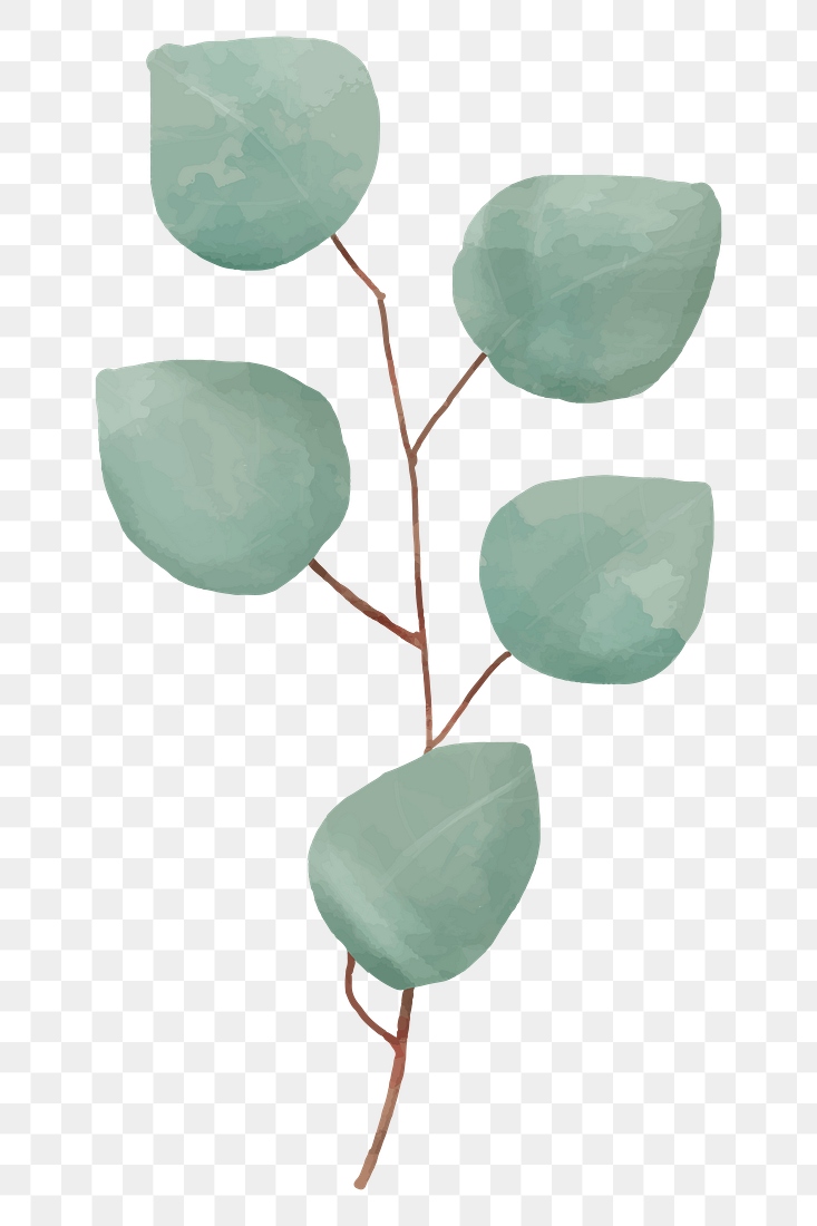 Sprig sticker png botanical drawing | Premium PNG Sticker - rawpixel