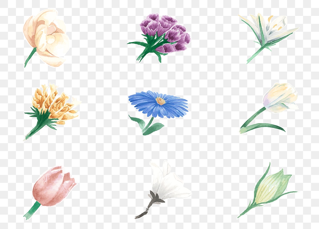 Hand drawn flowers png colorful | Premium PNG - rawpixel