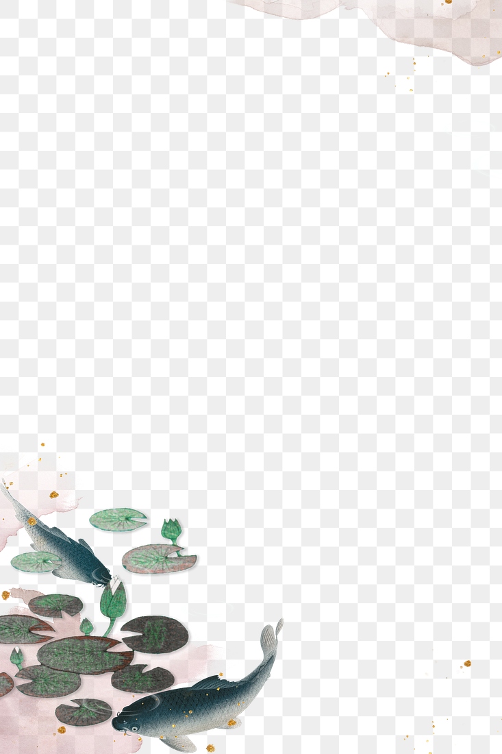 Swimming black koi fish border | Premium PNG - rawpixel