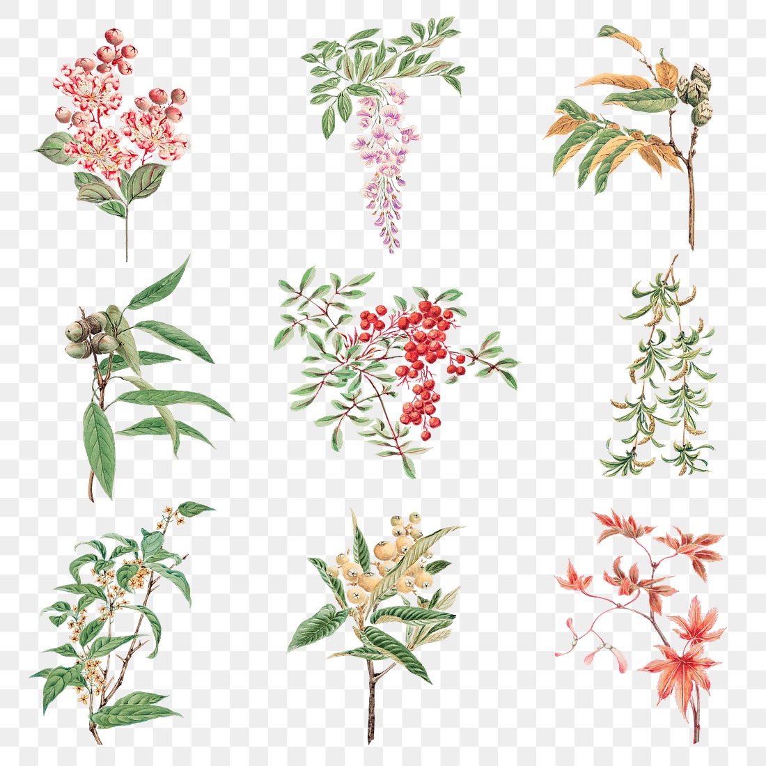 Vintage Japanese tree png art | Premium PNG - rawpixel