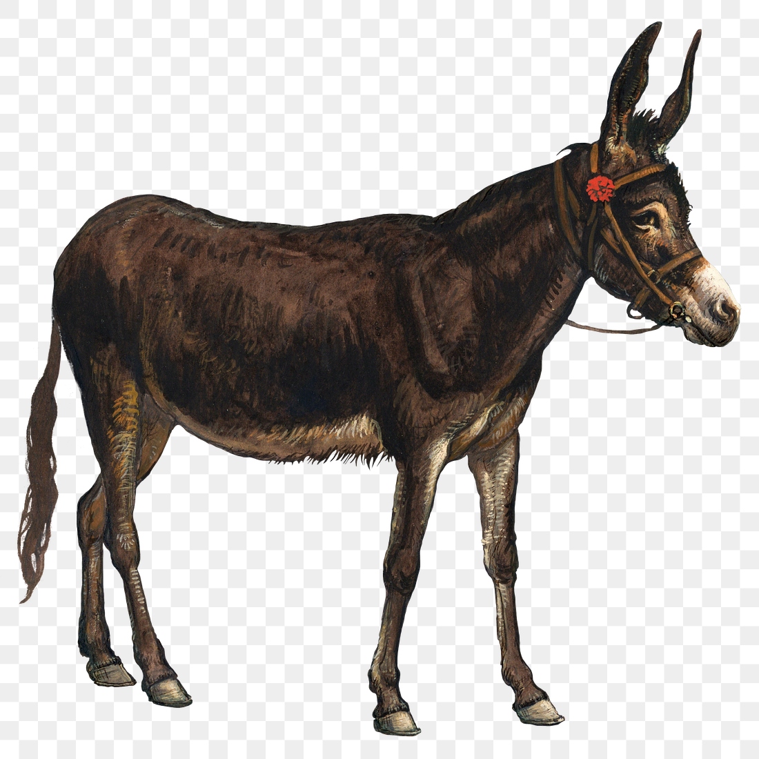 Animal png element mule hand | Premium PNG Sticker - rawpixel