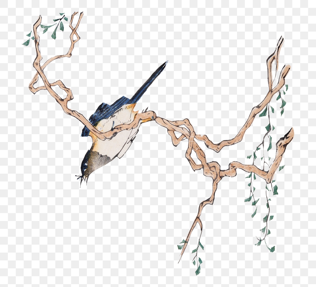 Bird png perching tree illustration, | Premium PNG Sticker - rawpixel