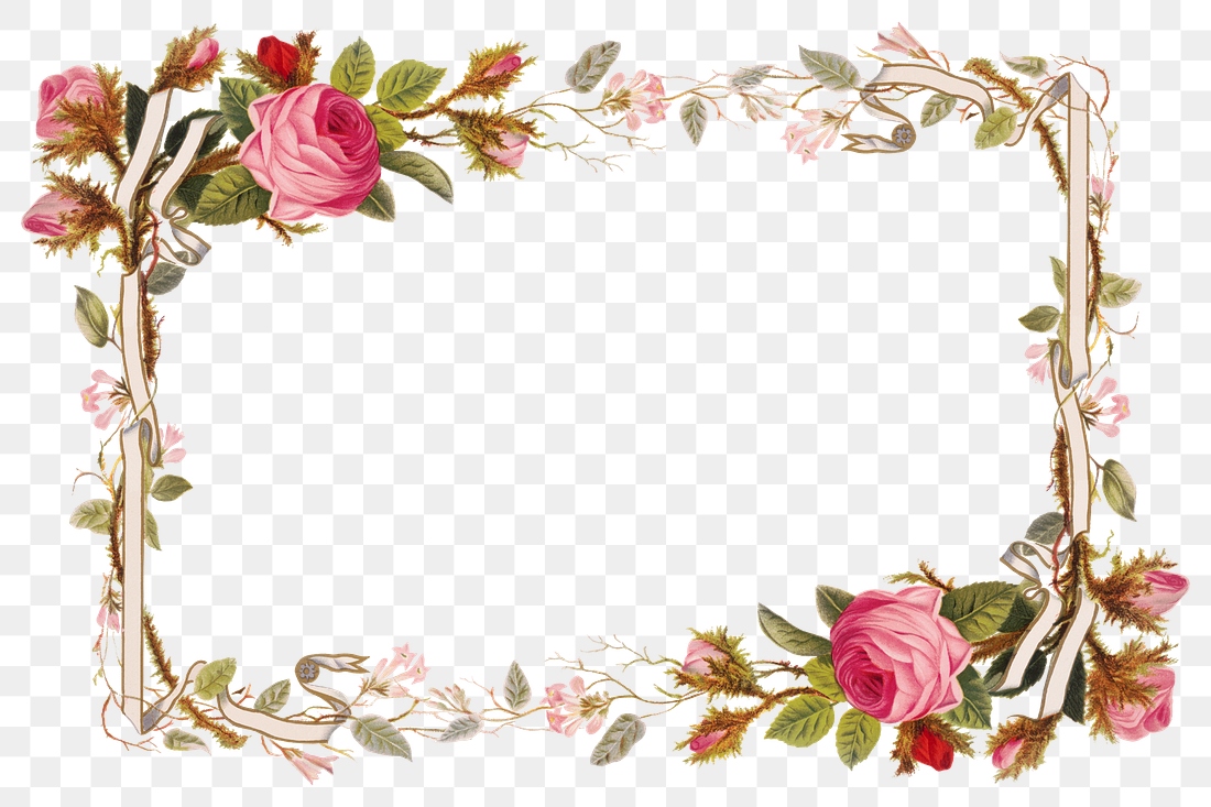 Vintage pink roses png border | Premium PNG - rawpixel