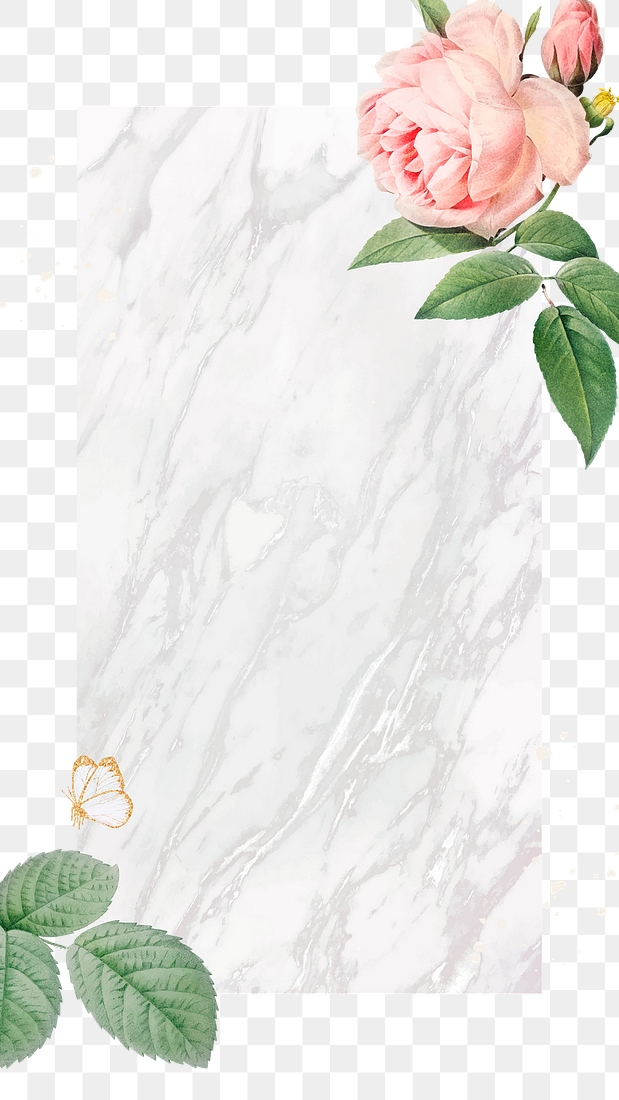 Pink cabbage rose rectangled frame | Free PNG - rawpixel