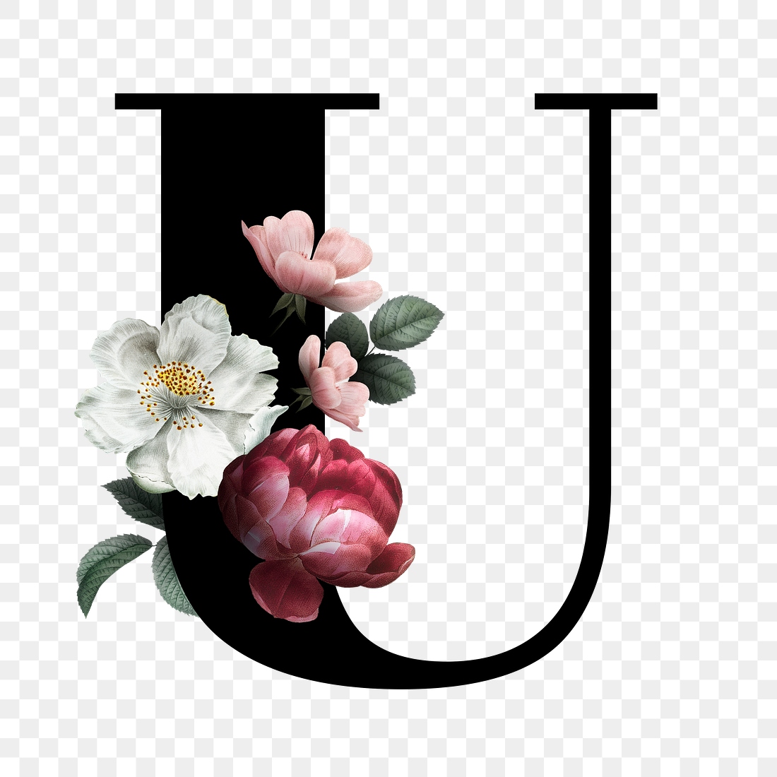 Classic elegant floral alphabet font | Premium PNG Sticker - rawpixel