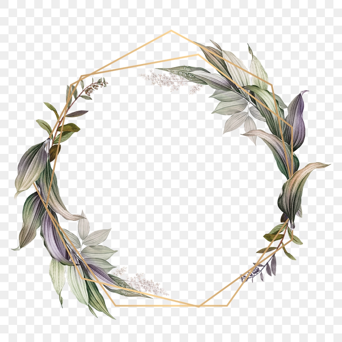 Tropical botanical frame transparent png | Premium PNG - rawpixel