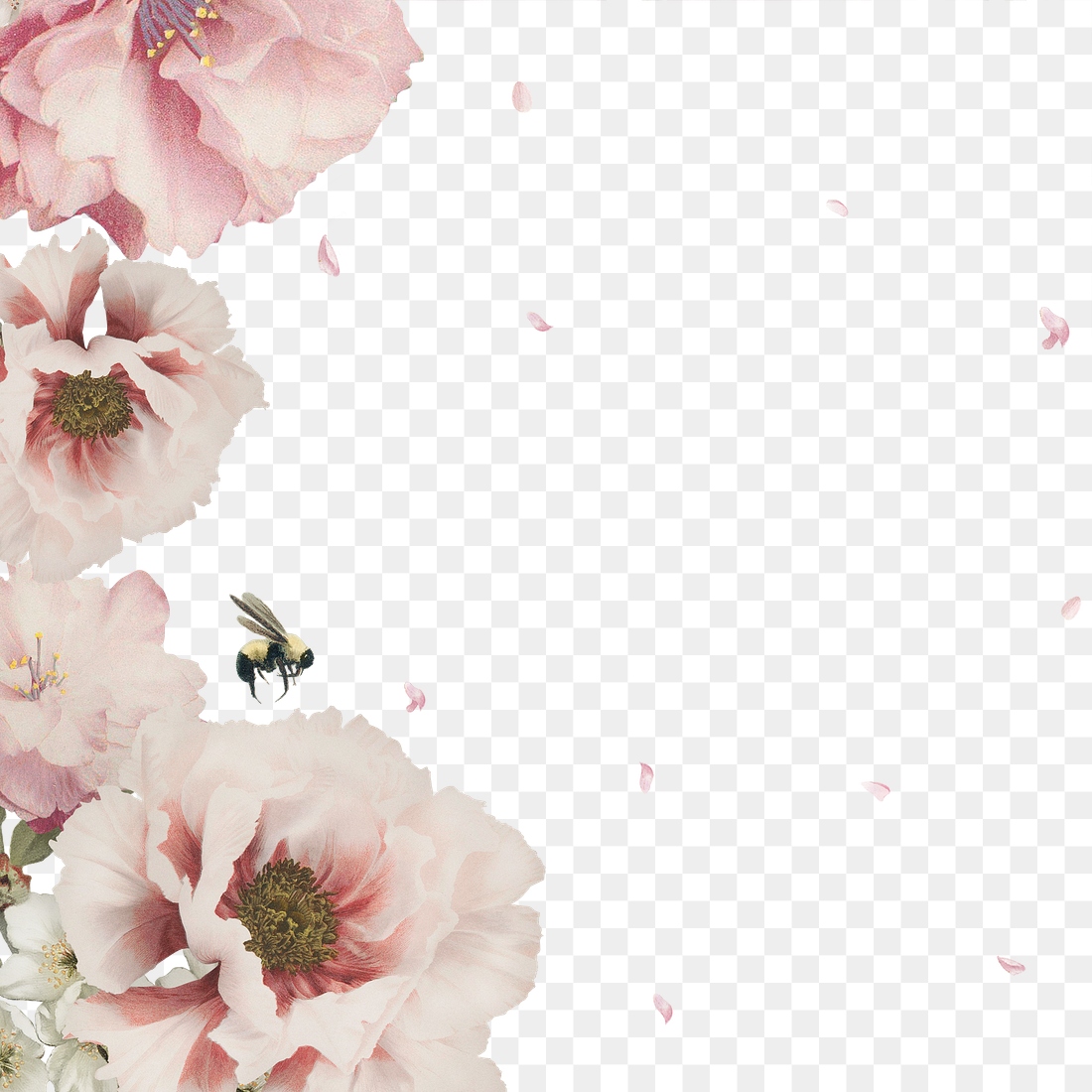 Pink flowers frame transparent png | Premium PNG - rawpixel