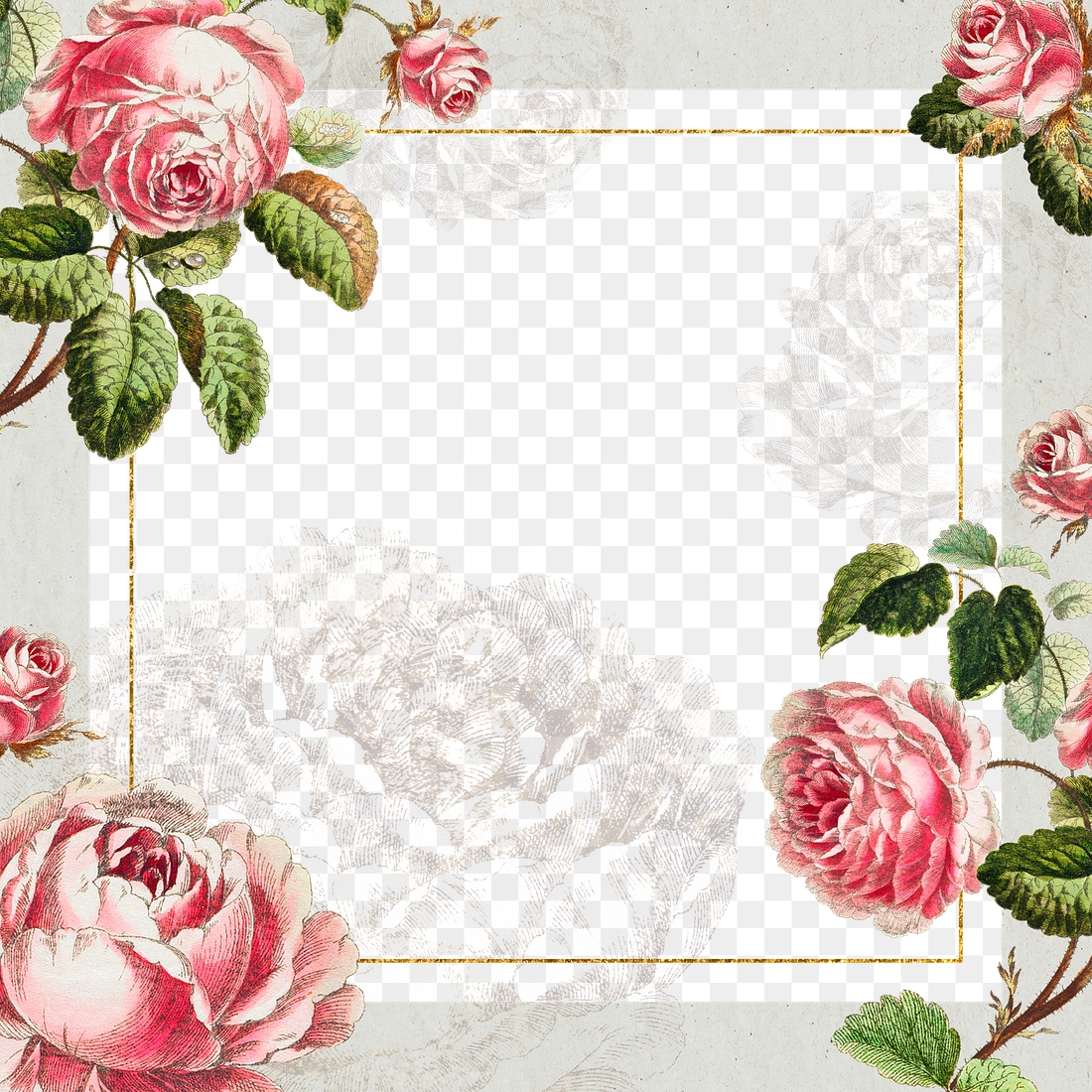 Vintage pink rose flower frame | Premium PNG - rawpixel