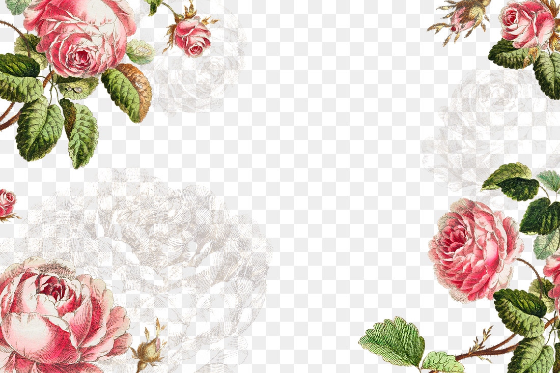 Vintage pink rose flower frame | Premium PNG - rawpixel