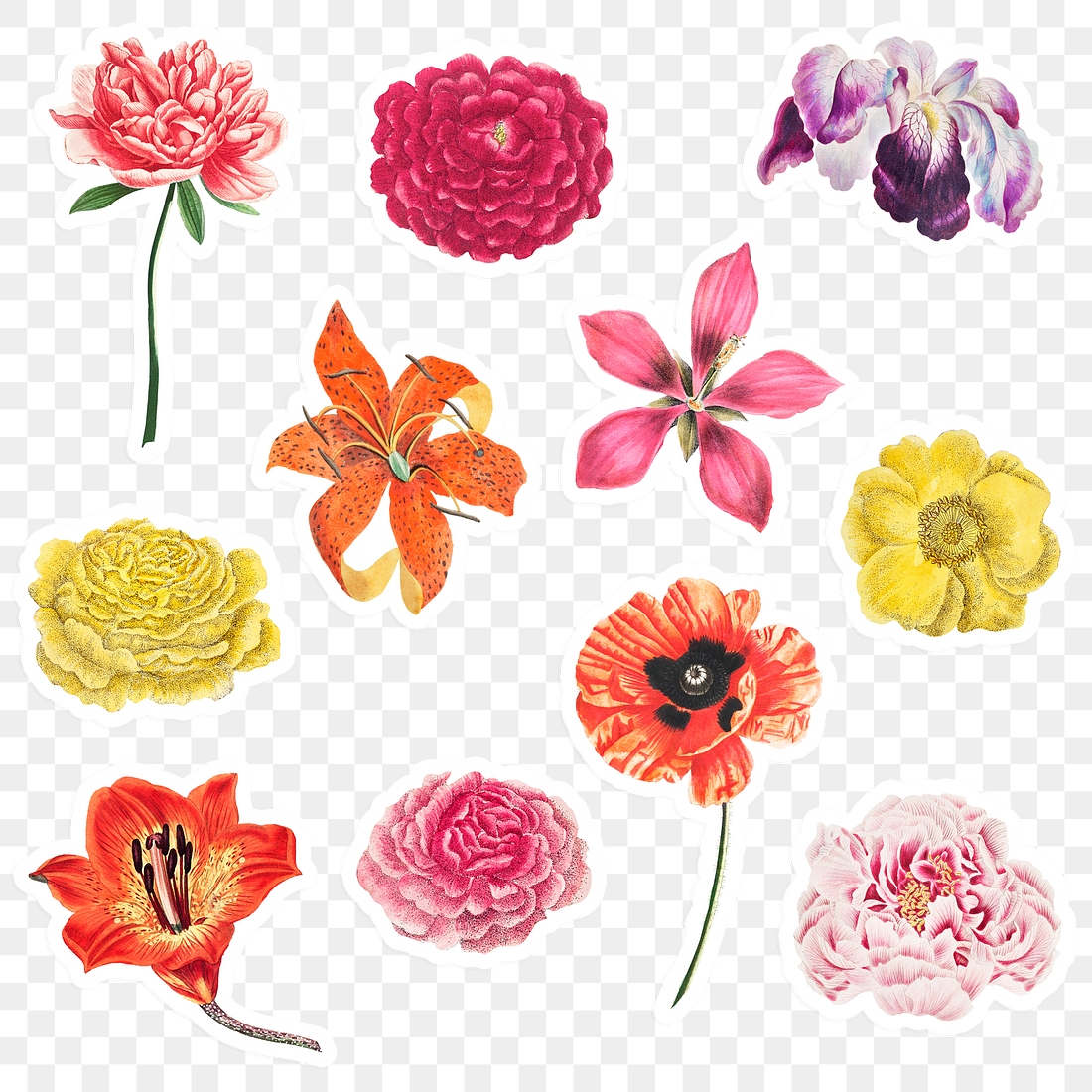Vintage flower sticker collection | Premium PNG - rawpixel