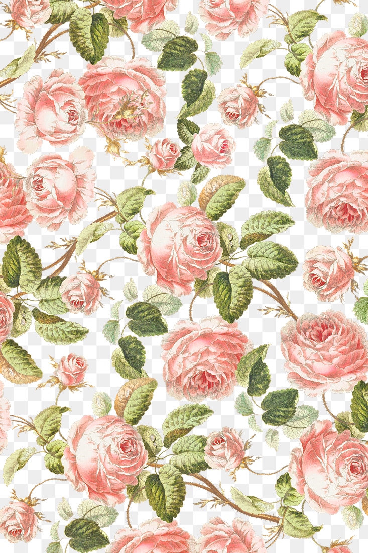 Vintage pink rose flower pattern | Premium PNG - rawpixel