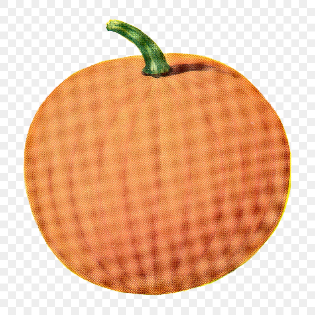 Pumpkin png clip art, vintage | Premium PNG - rawpixel