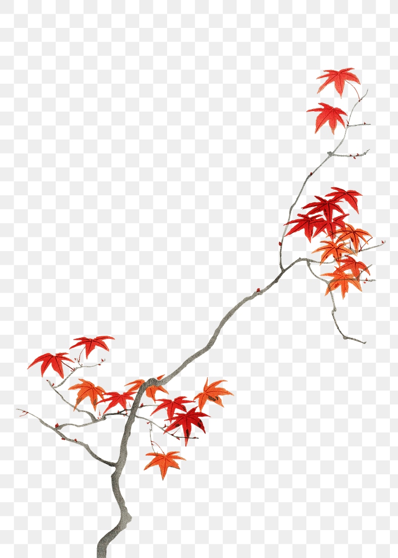 Traditional Japanese maple leaf ornamental | Premium PNG Sticker - rawpixel