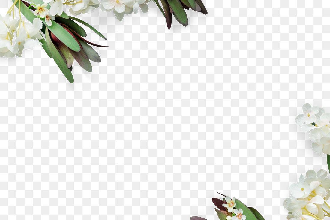 White flower frame mockup design | Premium PNG - rawpixel