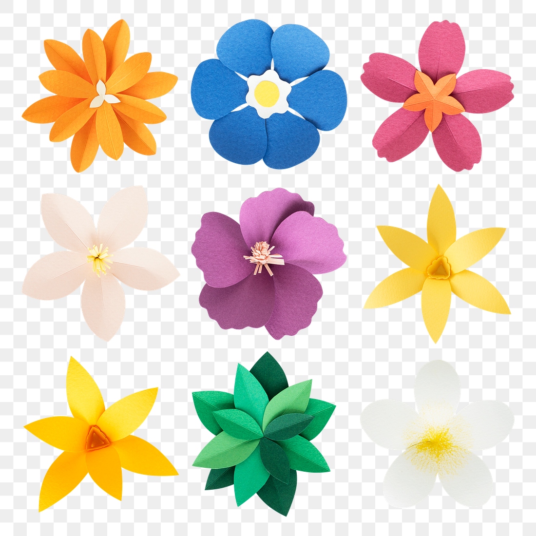 Tropical paper flower png set | Premium PNG - rawpixel