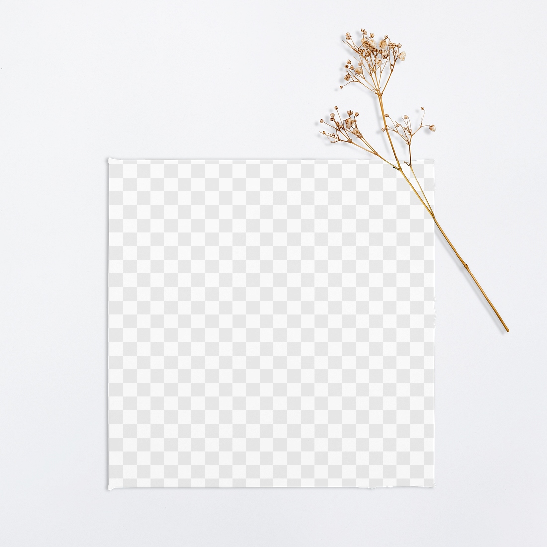 Blank canvas png transparent mockup | Premium PNG - rawpixel