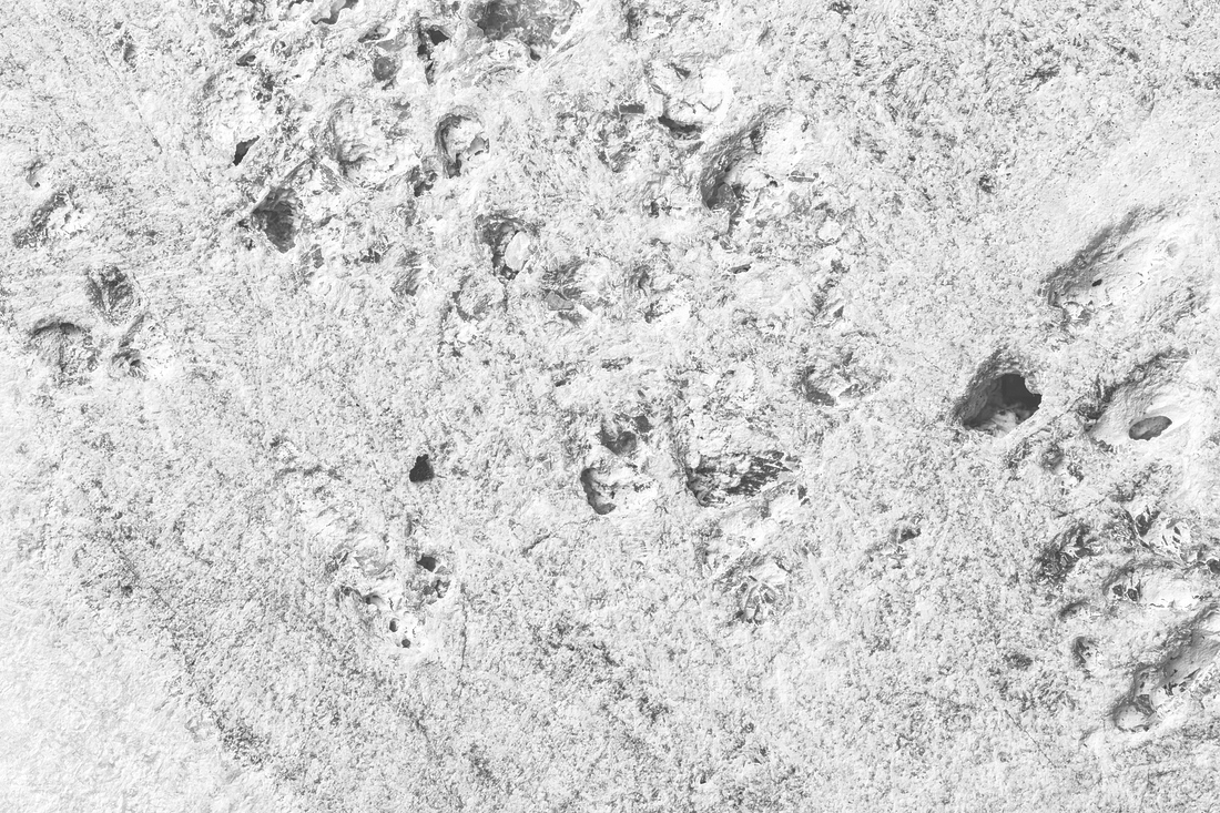 Stone texture png, transparent rough | Premium PNG - rawpixel