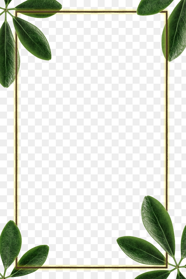 Green leaves rectangle frame design | Premium PNG - rawpixel