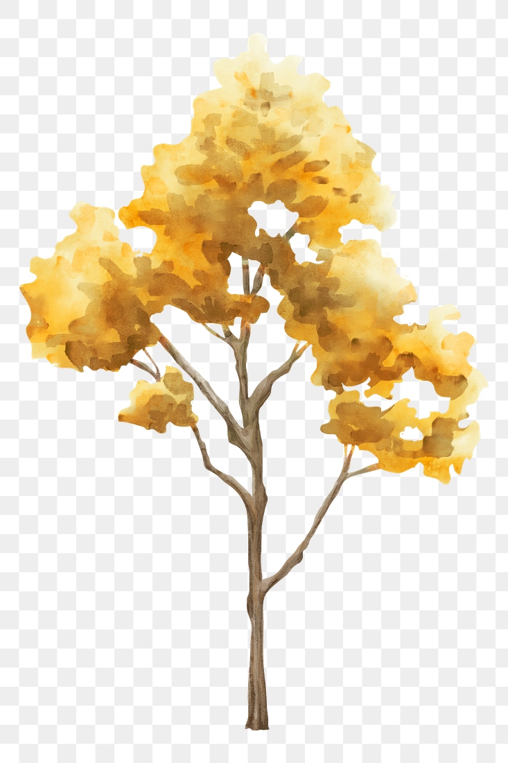 Autumn tree png, yellow plant | Premium PNG - rawpixel