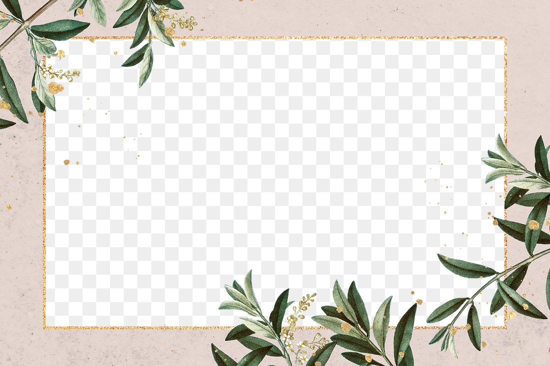 Botanical frame png olive branches | Premium PNG - rawpixel