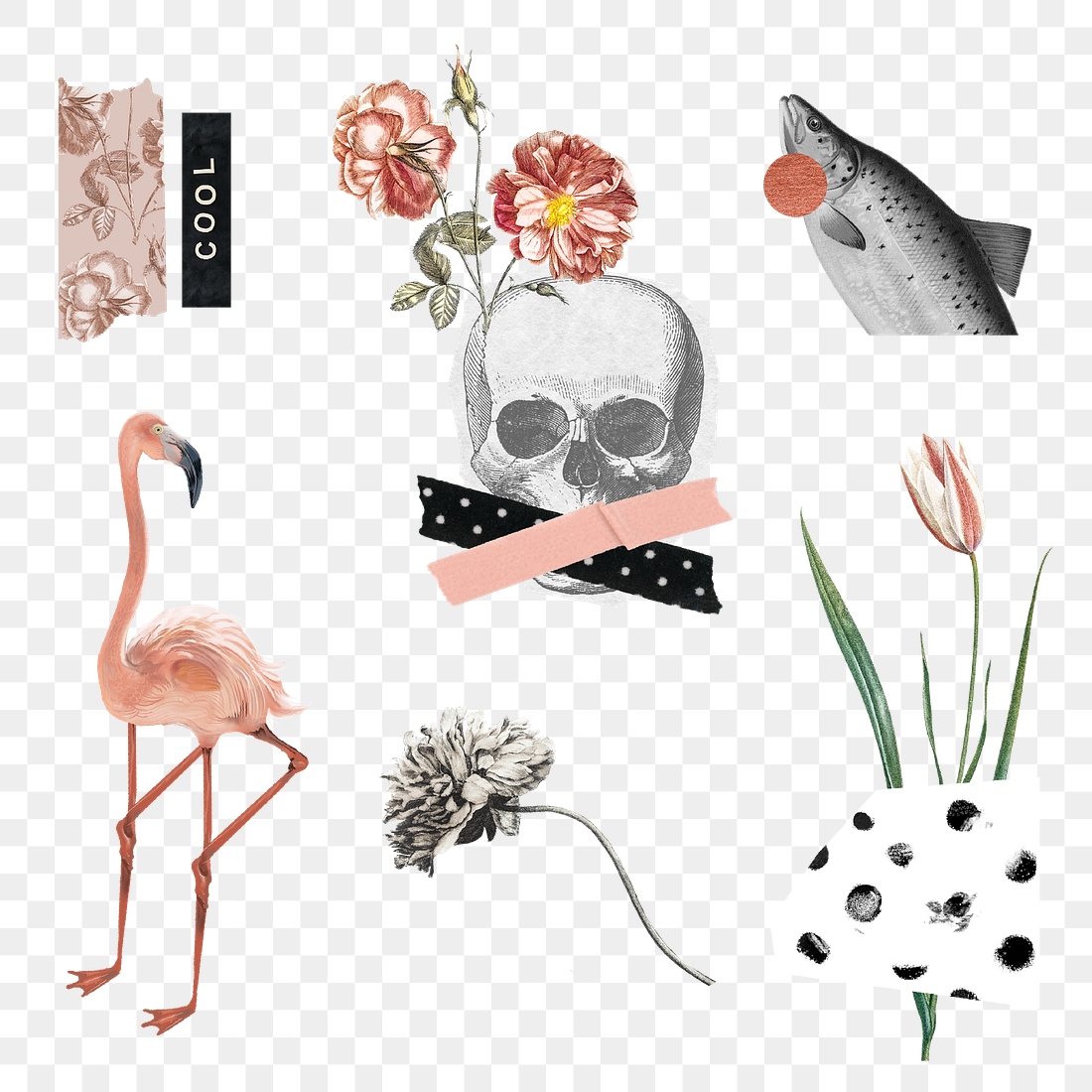 Vintage and cool sticker set | Premium PNG - rawpixel