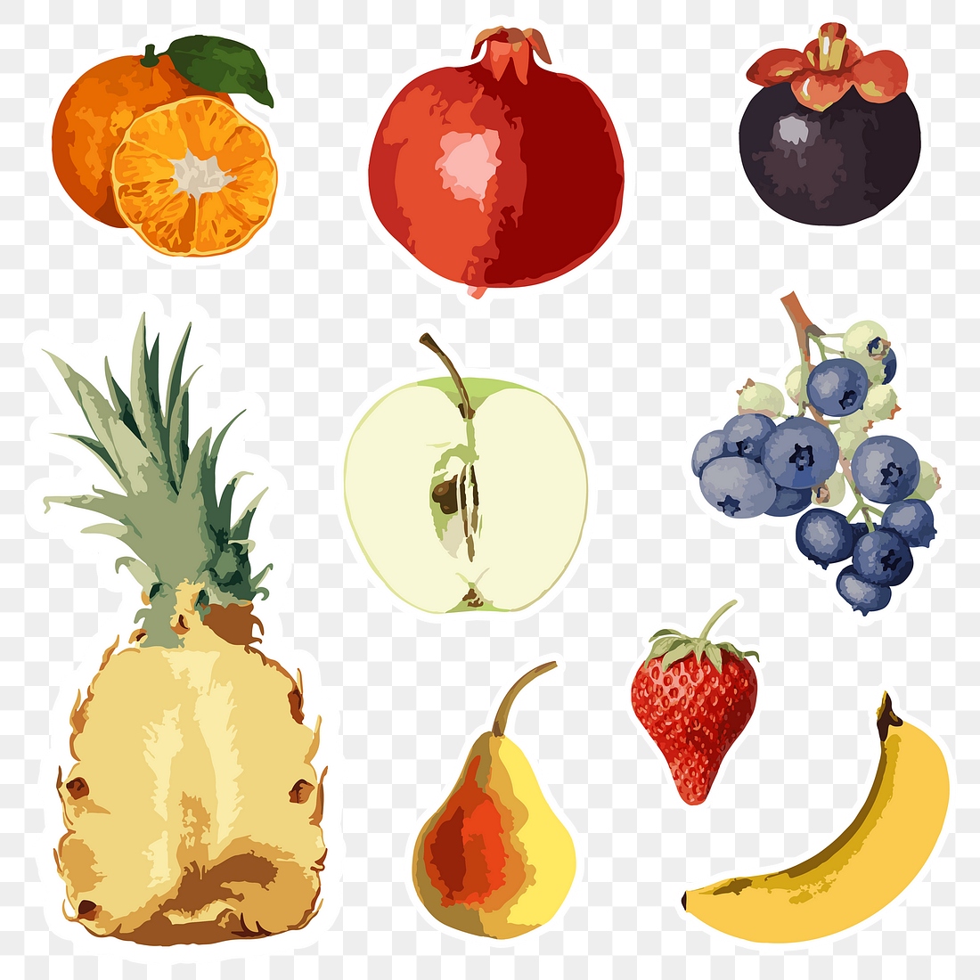Vectorized tropical fruit sticker collection | Premium PNG - rawpixel