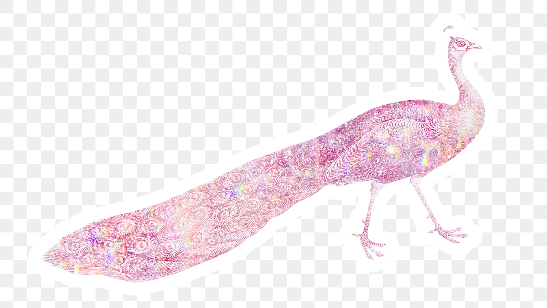 Pink holographic peacock sticker white | Premium PNG Sticker - rawpixel