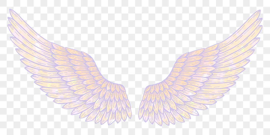 Creamy angel wings sticker overlay | Premium PNG Sticker - rawpixel