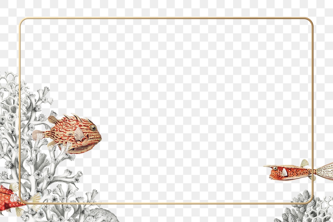 Marine life coral reef frame | Premium PNG - rawpixel