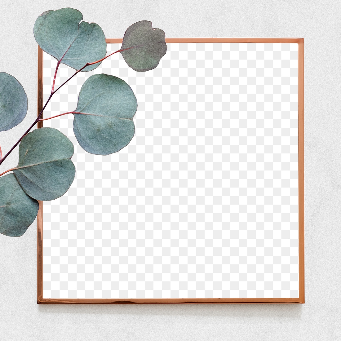 Eucalyptus gold frame png transparent | Premium PNG - rawpixel