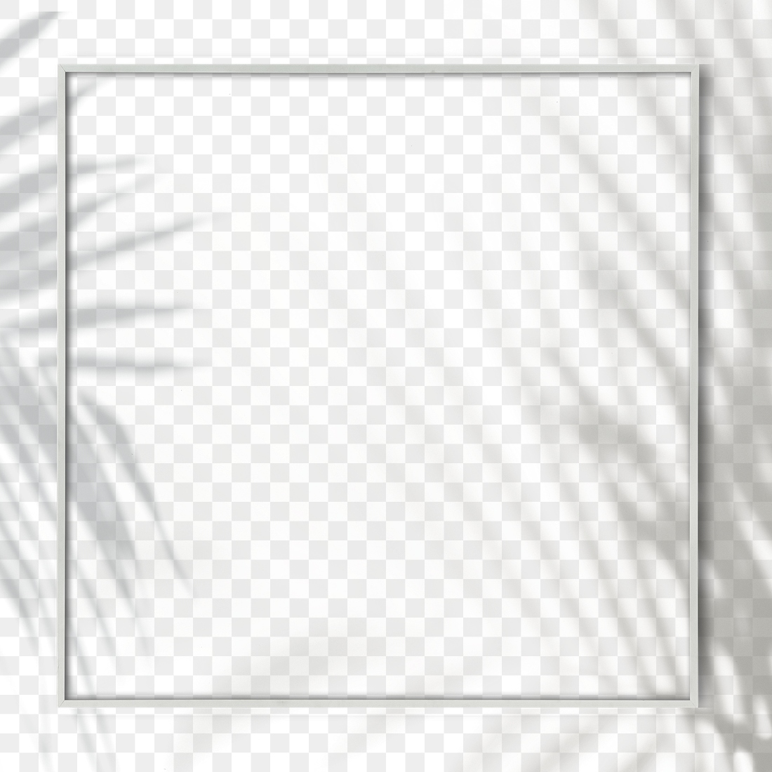 Palm leaves shadow frame design | Premium PNG - rawpixel