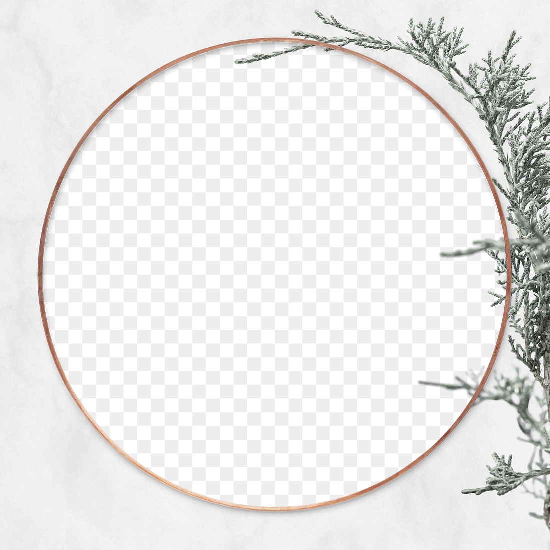 Png pine tree branch frame | Premium PNG - rawpixel