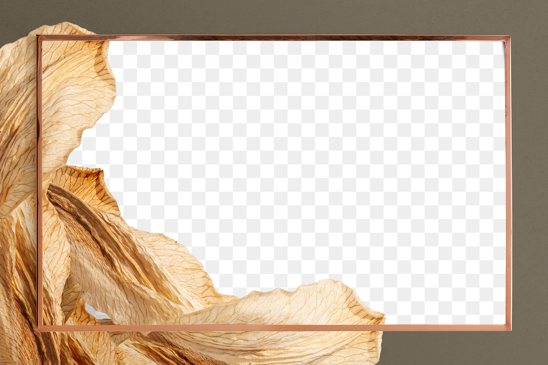 Earth tone floral frame png | Premium PNG - rawpixel