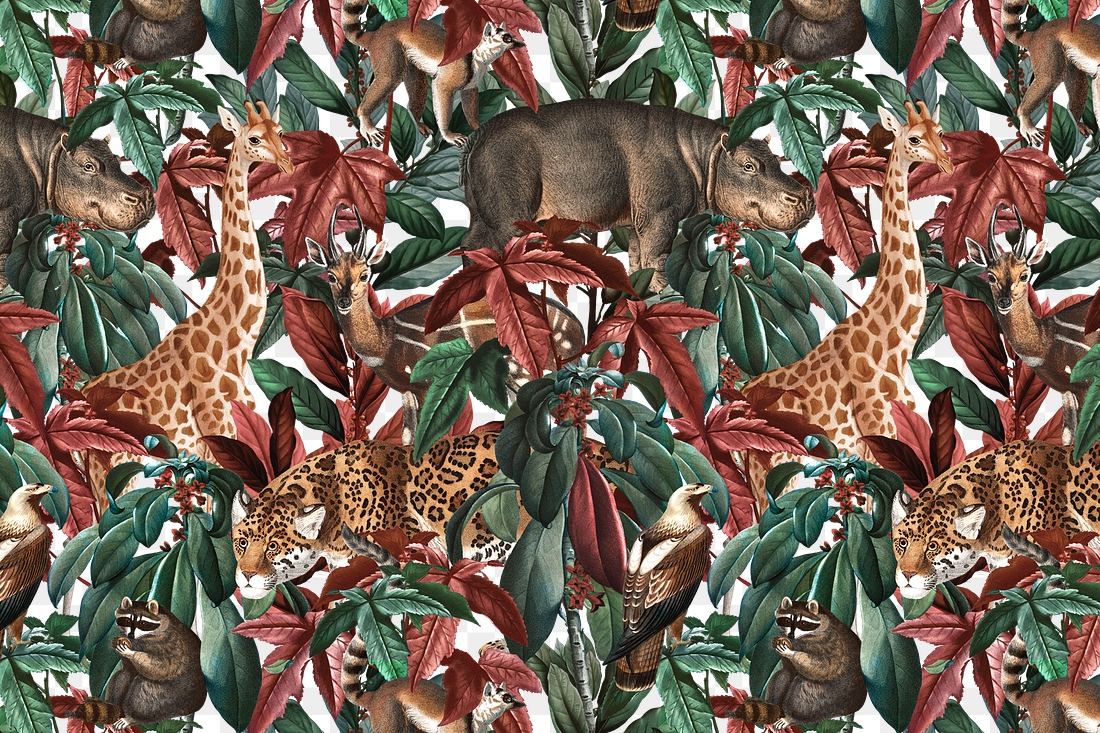 Jungle png animal pattern transparent | Premium PNG - rawpixel