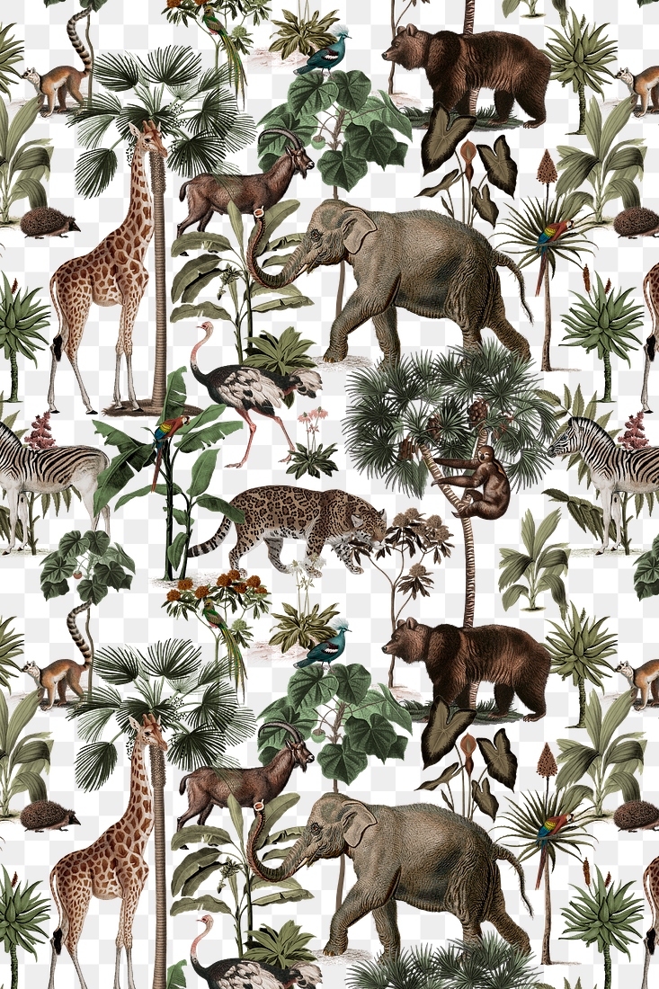 Jungle png animal pattern transparent | Premium PNG - rawpixel
