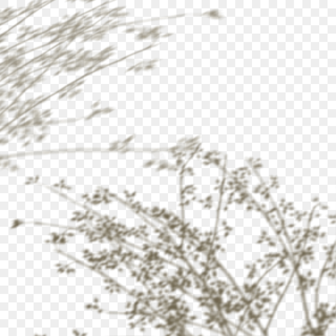 PNG floral branches shadow design | Premium PNG - rawpixel