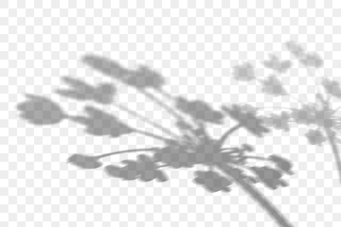 PNG floral branch shadow design | Premium PNG - rawpixel
