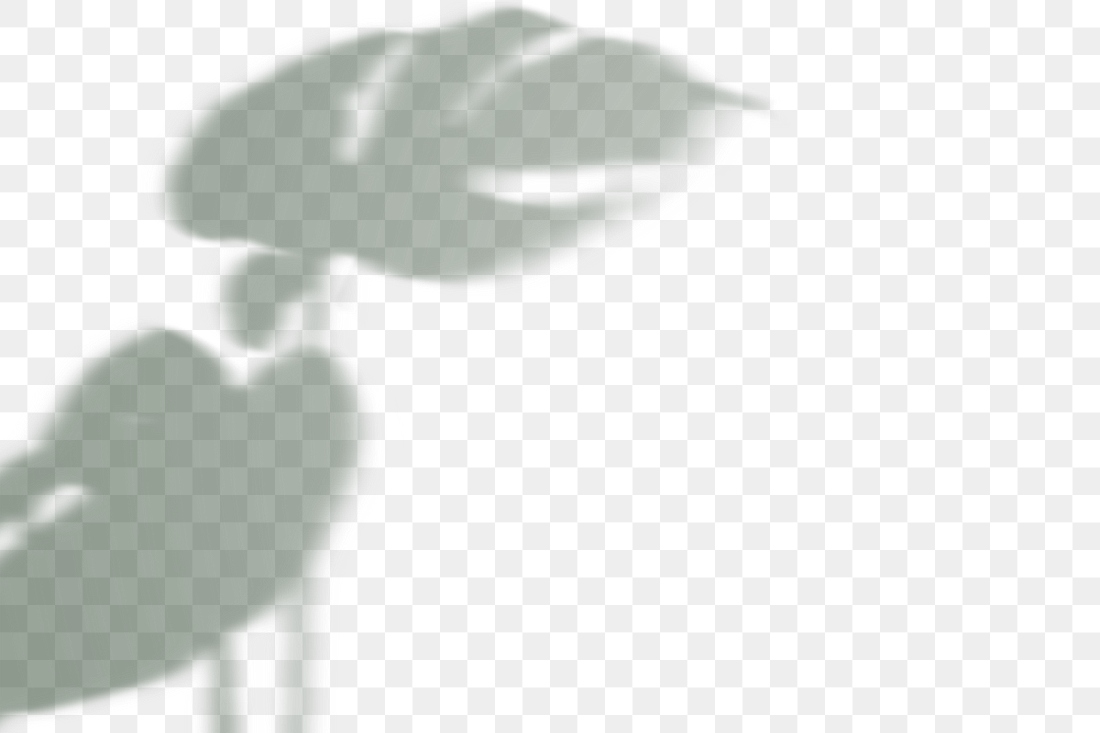 PNG monstera plant shadow design | Premium PNG - rawpixel